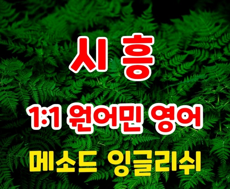 시흥 영어회화 시흥 원어민 영어 시흥 일대일 원어민 영어 시흥 원어민 영어과외 네이버 블로그