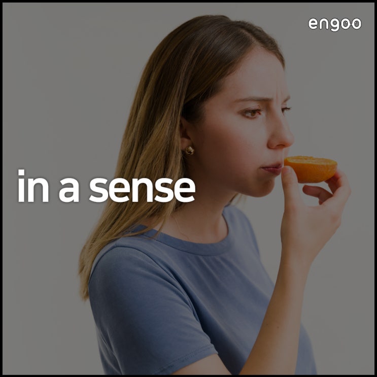 in a sense, 어떻게 사용해야 할까? : 네이버 블로그