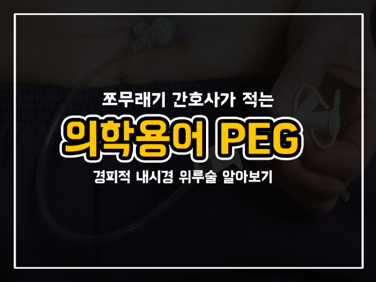 의학용어 PEG 쉽게 알아보기! : 네이버 블로그
