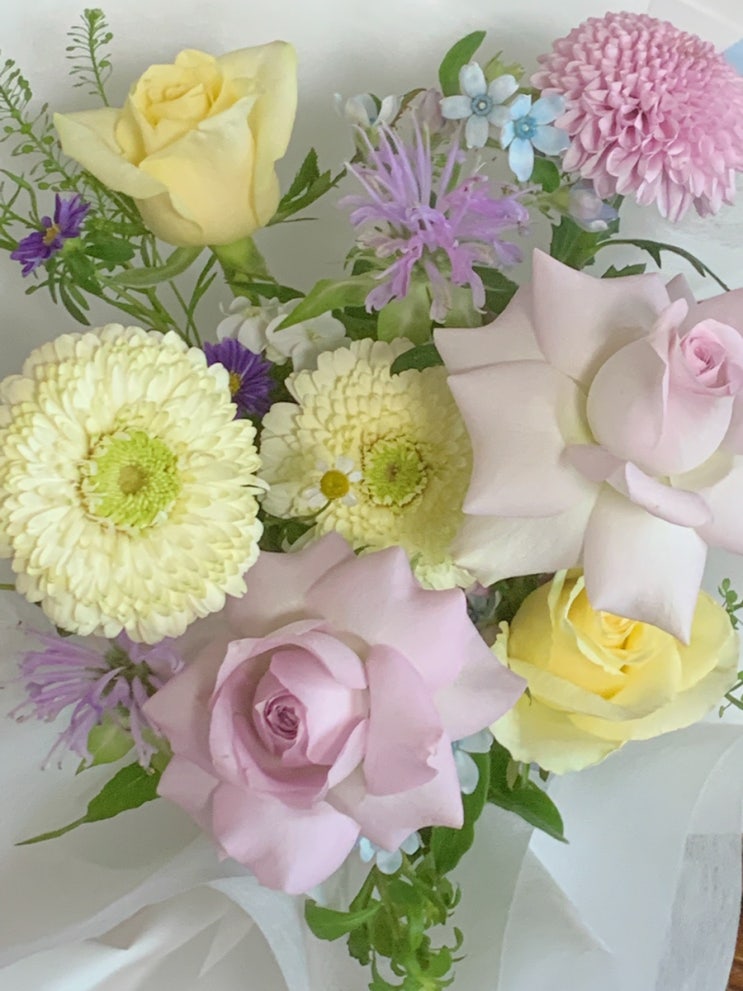 일상 : 네이버 블로그