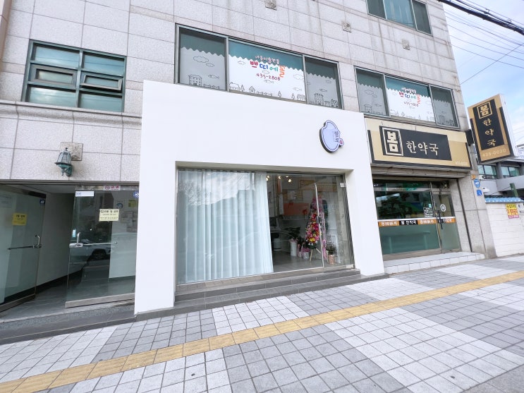홍천꽃집 문득그꽃표 플랜테리어 아레카야자 몬스테라 슈가바인 네이버 블로그