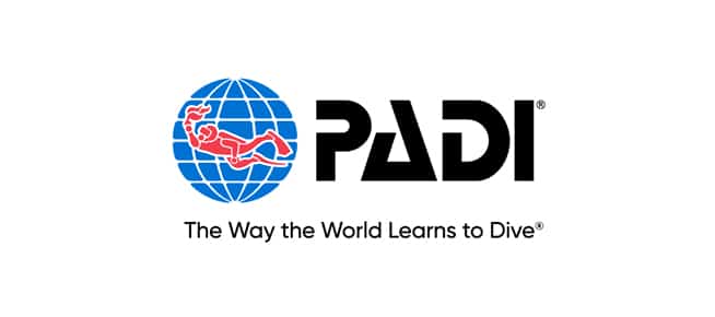 PADI 최고 레벨의 스쿠버다이빙 교육센터인 5STAR CDC 다이브센터는 콩글리쉬? | 경력개발센터인 Career ...