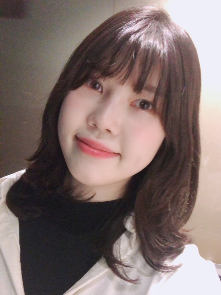 서초동 미용실 차홍룸 신논현점 중단발 엘리자벳펌 네이버 블로그