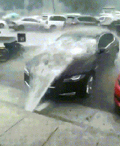 무료 세차 개꿀.GIF : 네이버 블로그