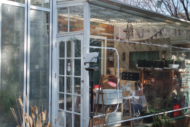 월동 3탄/비닐하우스 : 네이버 블로그