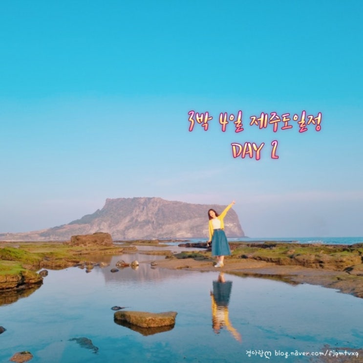 제주도 3박 4일 2일차 성산일출봉 말고기버거 파파야 오조포구 광치기해변 호랑호랑카페 고갈딱 아시횟집 네이버 블로그
