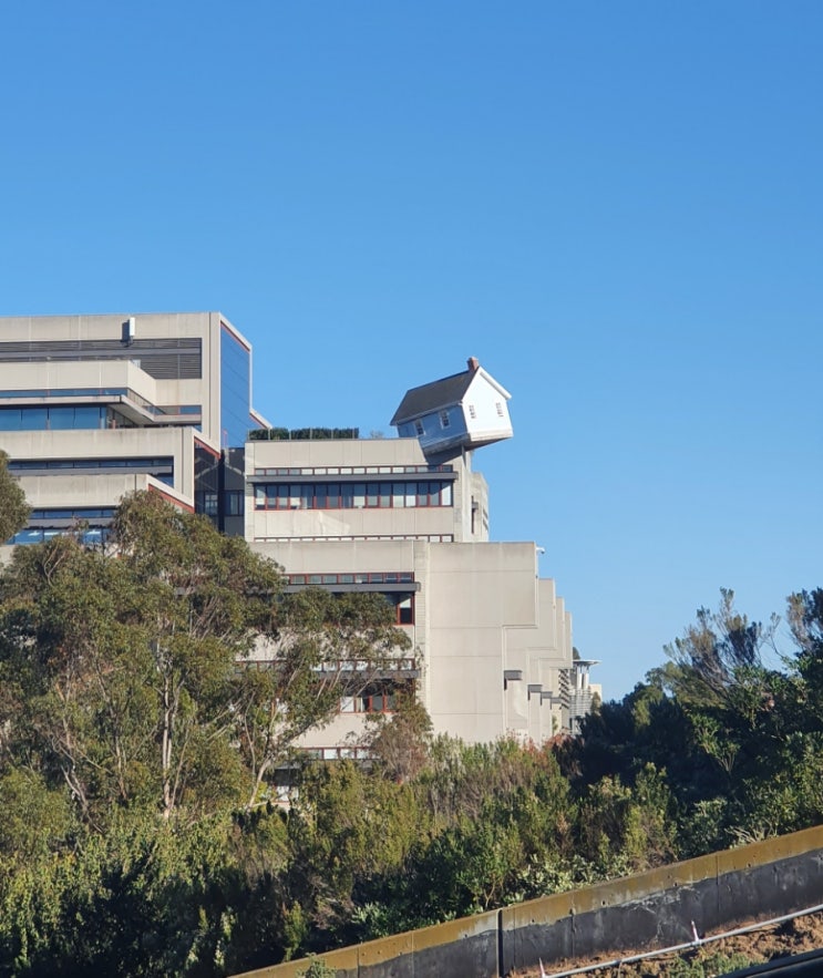 UCSD 1탄 가이젤 도서관, Snake Path, Fallen Star : 네이버 블로그