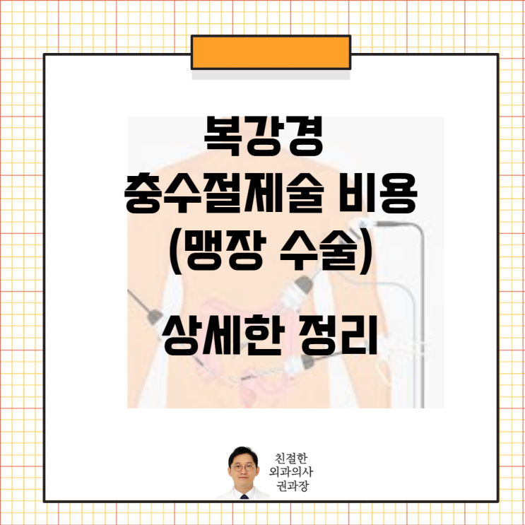 복강경 충수절제술 맹장수술 비용에 대해서 상세하게 정리해드립니다 Ct 비용에 대한 Tip 포함 네이버 블로그