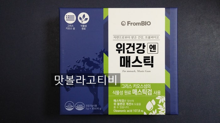 이병헌 프롬바이오 위건강엔 매스틱 건강기능식품 맛본 위장보호 식물성 원료 어때요 네이버 블로그