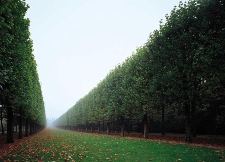 법구경:선은 또 다른 선을 낳는다 -Good begets good- : 네이버 블로그