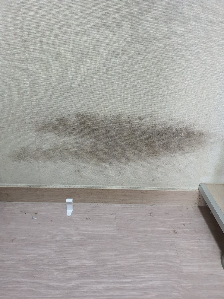 명지 호반베르디움2차 이사청소 : 네이버 블로그