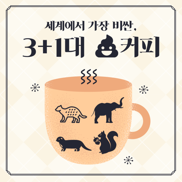 사향고양이 똥 코끼리똥 커피 베트남 족제비똥 커피ft 세계에서 가장 비싼 커피 네이버 블로그