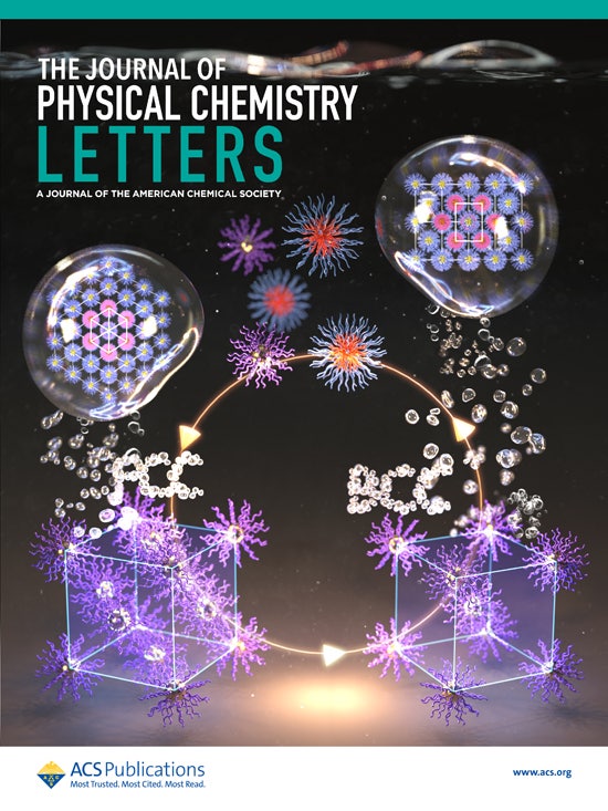 ACS_the Journal of Physical Chemistry Letters/논문삽화/저널표지/논문커버/논문커버이미지/논문 ...