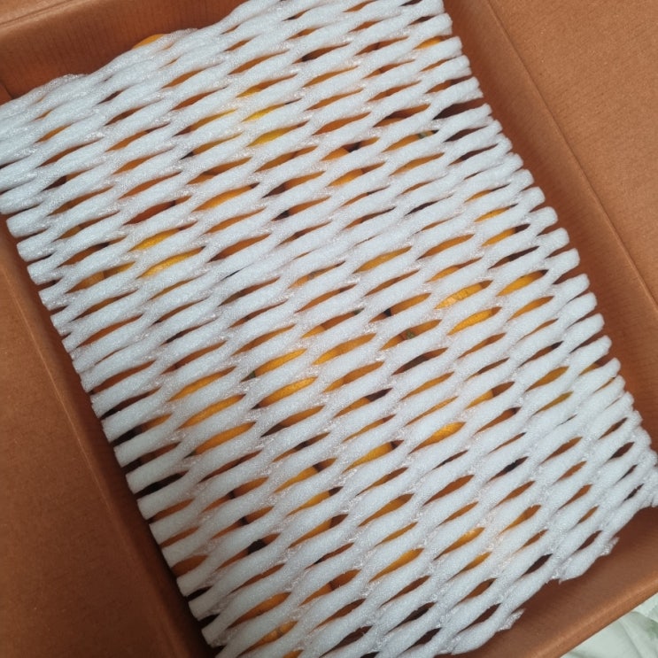 12월12일~15일 하루하루 소중한 일상들 : 네이버 블로그