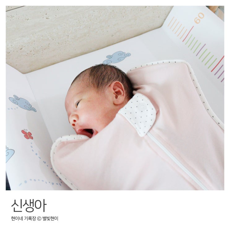 신생아 접종시기 정리b형간염예방접종 Bcg경피용피내용 네이버 블로그