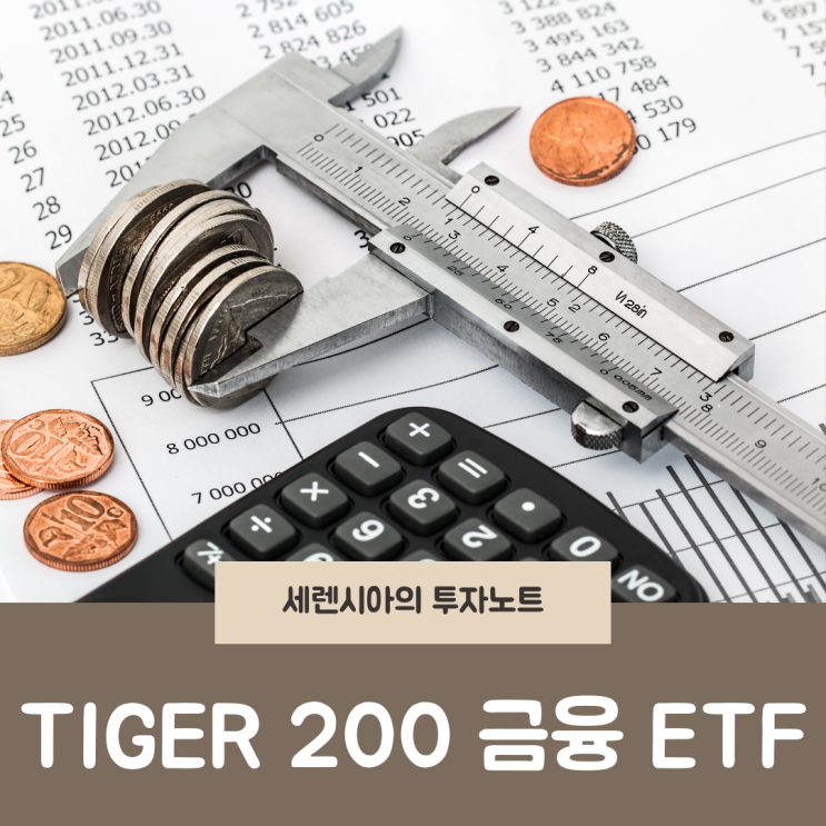타이거 TIGER 200 금융 ETF : 네이버 블로그