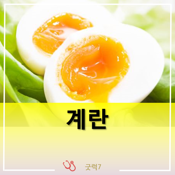 삶은계란 구운계란 칼로리 계란 효능 단백질 함량 네이버 블로그