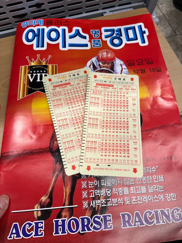 과천렛츠런파크 과천 경마장 렛츠런 파크 좌석 예약하고 이색 데이트 하기어플 다운 방법 안내 경마 게임 용어 안내