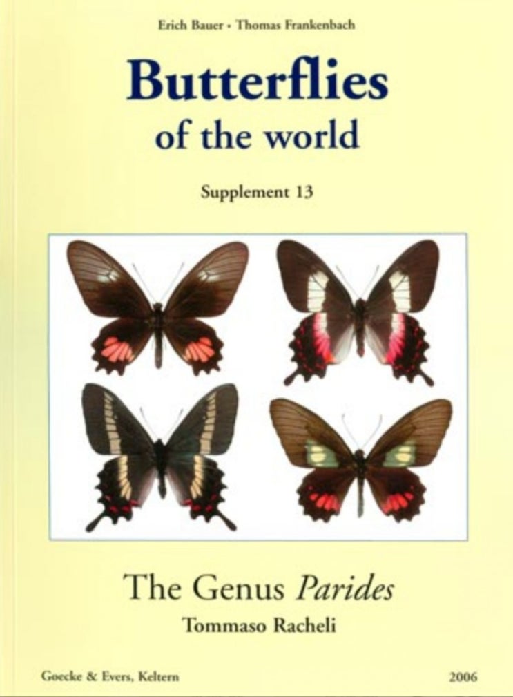 🦋 genus Parides (cattlehearts) : 네이버 블로그