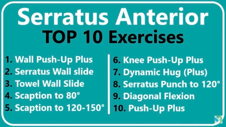 10 best Serratus anterior exercise/SPS/전거근 운동 : 네이버 블로그