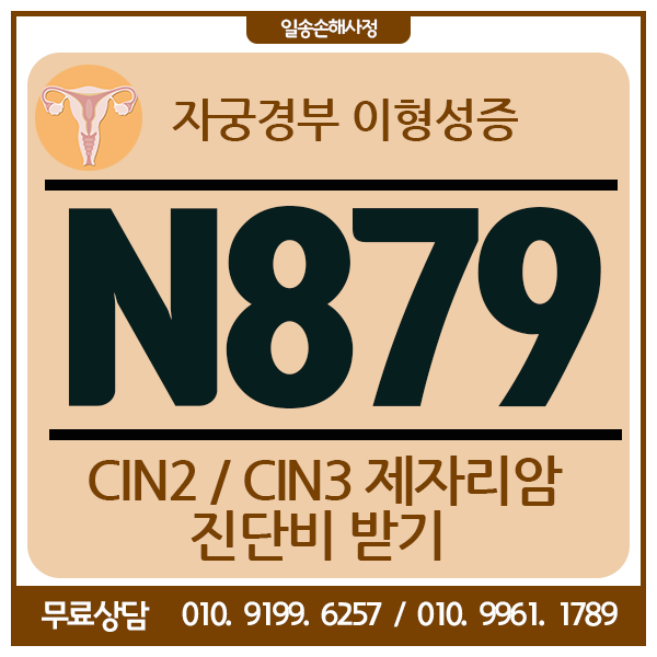 N879 자궁경부이형성증 Cin2 Cin3 제자리암 진단비 분쟁 해결 네이버 블로그