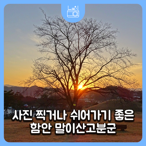 경남 함안 사진 찍기 좋은 곳 말이산고분군 노을 나무의자 네이버 블로그