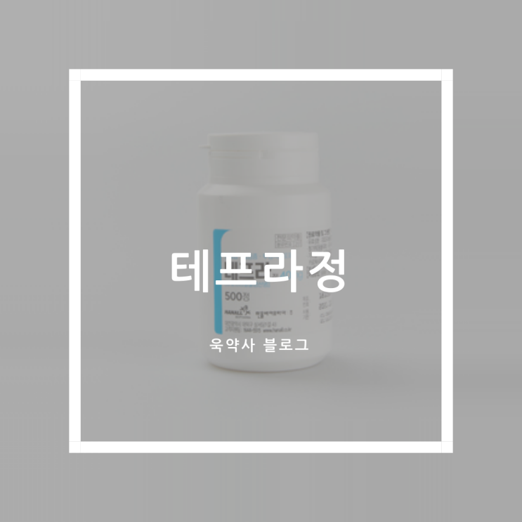 테프라정 질문·효과·부작용 대처법·주의사항 정리 프로프라놀롤 네이버 블로그