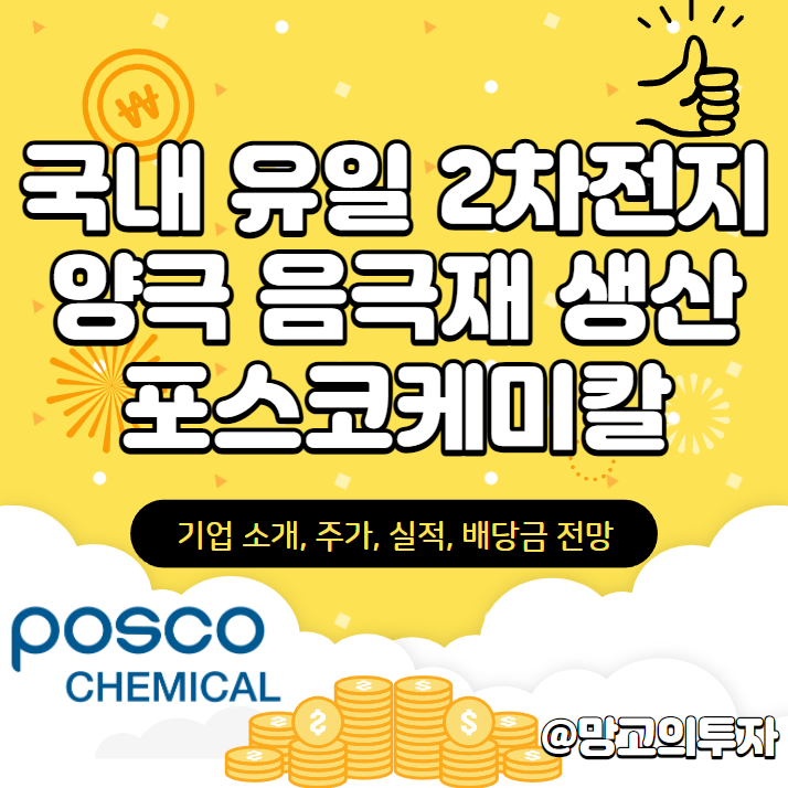분석 국내 2차전지 화학 소재 관련주 양극재 음극재 생산업체 포스코케미칼 주식 기업 소개 주가 실적 배당금 전망