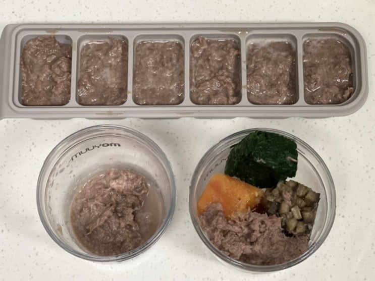 9개월 아기 이유식 단호박 큐브 소고기 큐브 아기 리코타 치즈 만들기 이유식 큐브 만들기 소고기 연하게 만드는 법