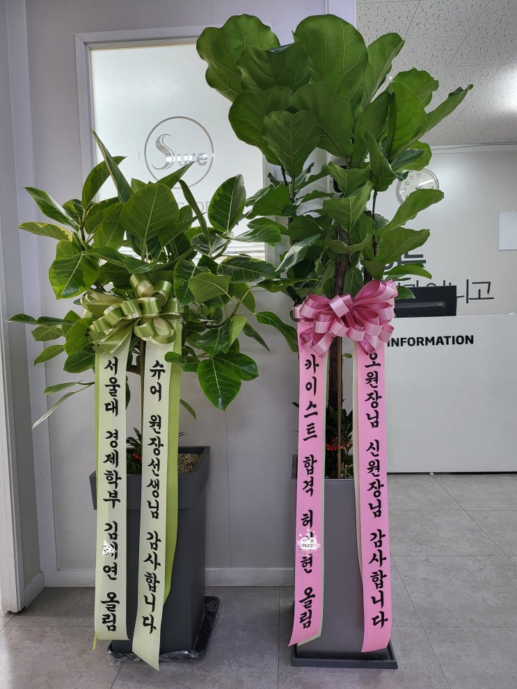 숭의여중 성남중 숭의여고 성남고 슈어학원 2022 최상위 대학 수시 합격을 알립니다 20211222 Update