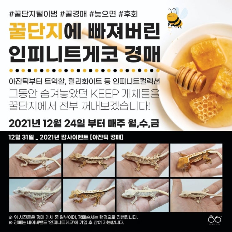 [인피니트게코] 2021년 감사 이벤트 (feat 모든걸 경매하라) : 네이버 블로그