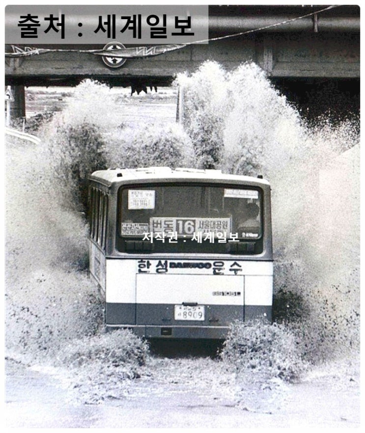 (세계일보)『[서울특별시] 침수된 도로위를 지나는 한성운수 16번 시내버스 (대우 BS105L)』 : 네이버 블로그