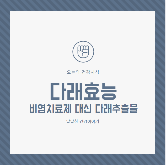비염치료기보단 다래추출물 어떠세요 다래 효능 네이버 블로그