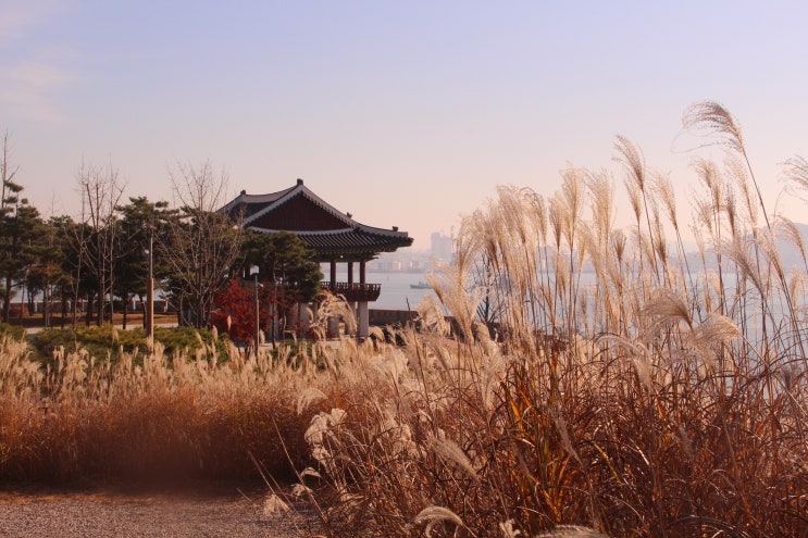 영종진공원 영종관광어시장과 구읍뱃터에서 가까운 근린공원 자연도원 운남동 고인돌 소원석탑 운요호사건의 무대 영종진