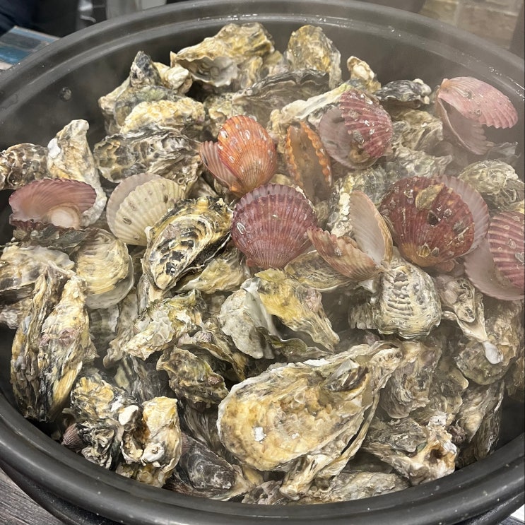 겨울엔 석화찜 못참지 창원 굴구이굴찜생굴 상남동맛집 상남시장 통영조개장터 네이버 블로그