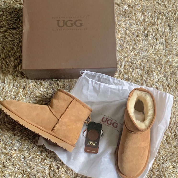 호주 어그부츠 오즈웨어 Ugg 클래식 미니 체스트넛 245사이즈 후기 네이버 블로그