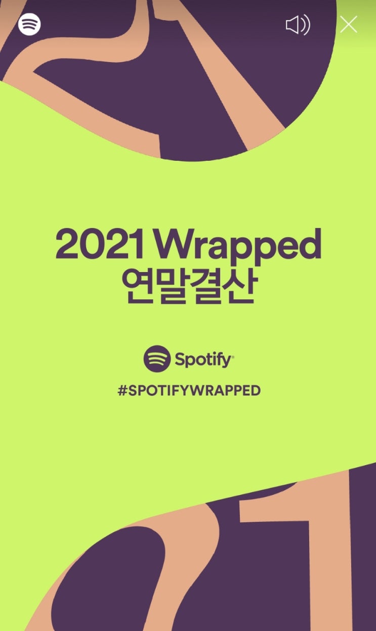 Spotify 2021 Wrapped 연말결산 : 네이버 블로그