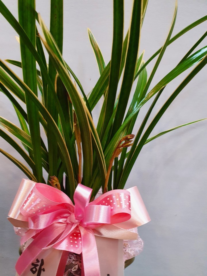 사계의 상생상극 ㅡ 추절 : 네이버 블로그