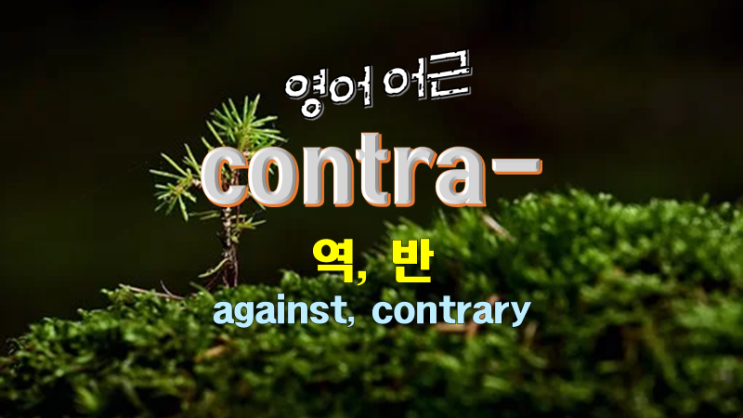 영어어원사전 - 영어단어 contracept, contraception, contradict의 라틴어 어근 contra ...