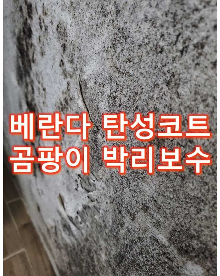 베란다 탄성코트 들뜸 탄성코트 벗겨짐 탄성코트 박리 탄성코트 곰팡이 하자 보수 베란다 곰팡이 제거 후 써멀라이너에어로젤