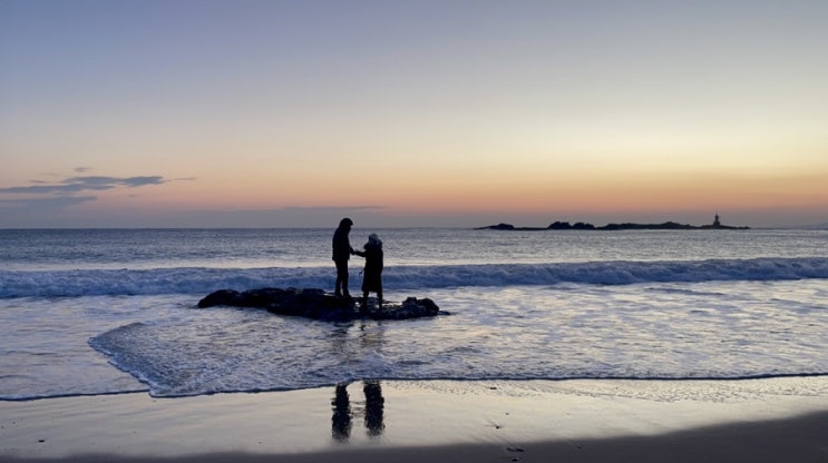 [포항] 새해맞이 즉흥으로 떠난 포항여행 - 환호공원 스페이스워크, 죽도시장, 미르펜션, 카페 포토피아, 오도해수욕장, 카페 ...