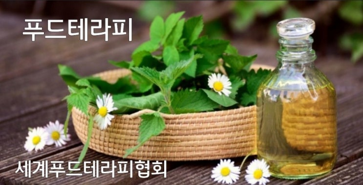 푸드테라피 요리심리상담사1급 1일집중 자격증과정 4월10일 세계아동요리협회 백항선 네이버 블로그
