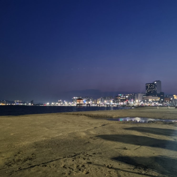 포항 영일대해수욕장 두무치공영주차장 무료 노지차박캠핑 오션뷰 시티뷰 맛집 영일대 전망대 장미원 스페이스워크 환호공원 스카이워크