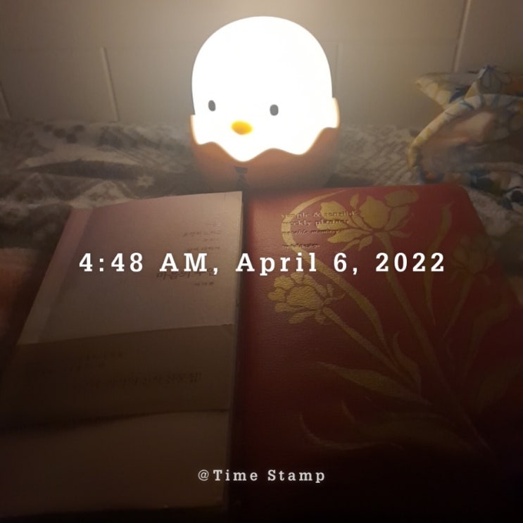 미라클 모닝 MKYU 김미경과 함께하는 굿땍월드 514챌린지 4월 : 네이버 블로그