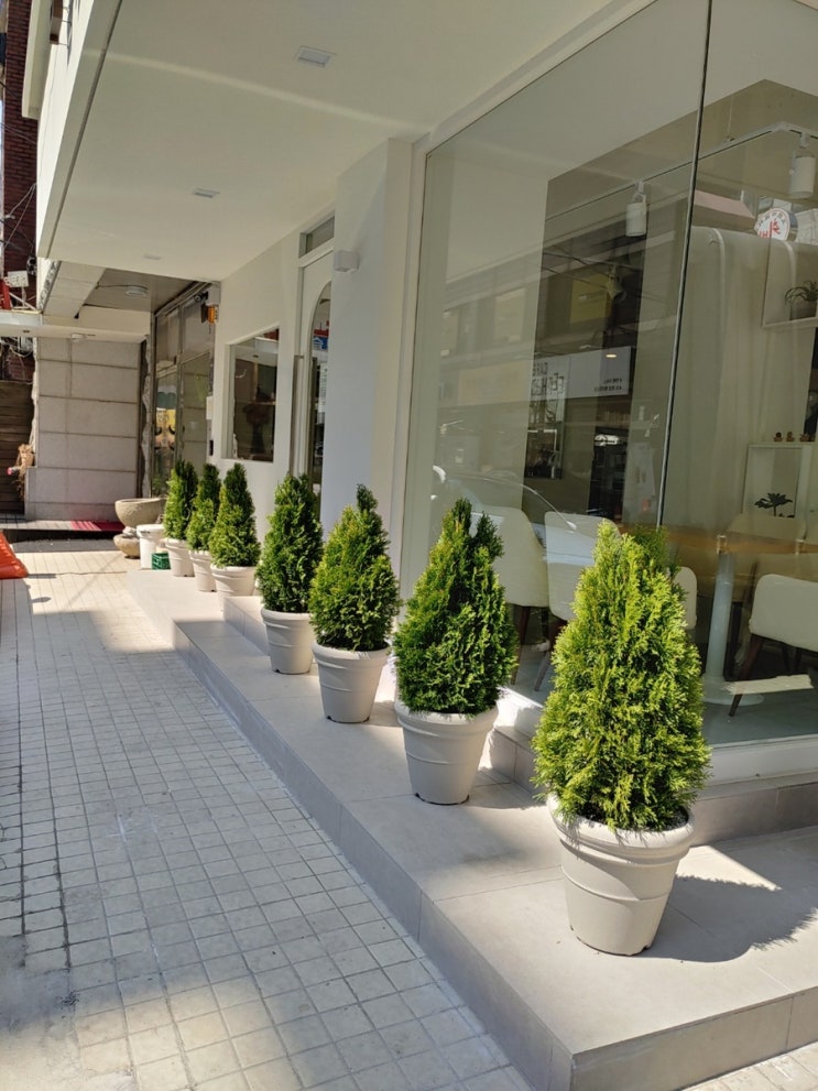 아파트화분 주차장화분 테라스화분 이태리화분 플라스틱화분 대형토분 사각토분 카페화분 네이버 블로그