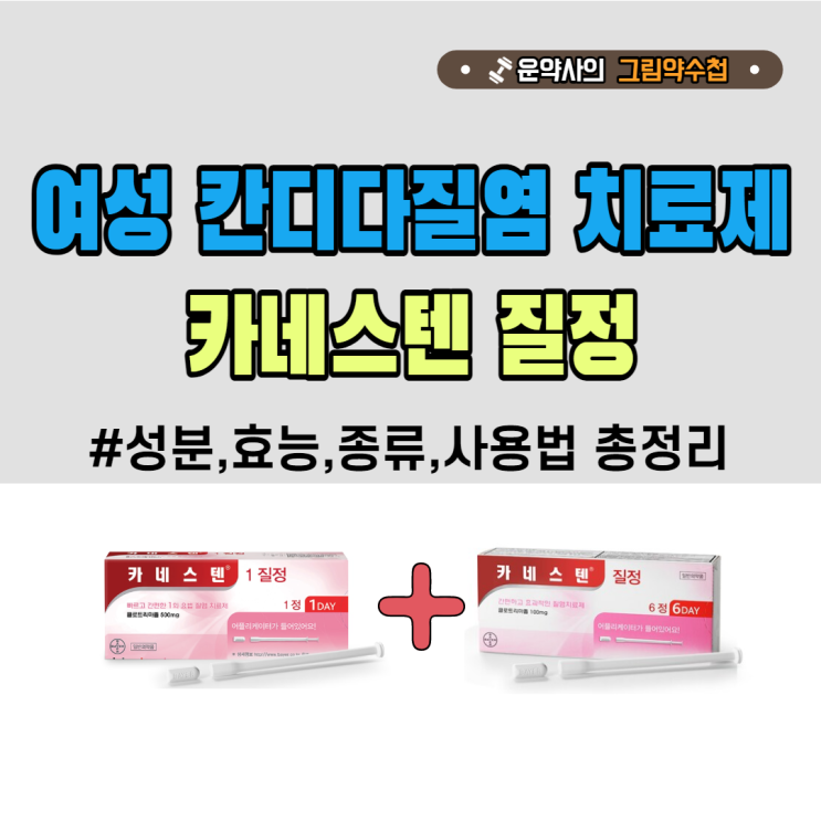 여성 칸디다질염 치료제 카네스텐 질정성분효능종류사용법 총정리 네이버 블로그