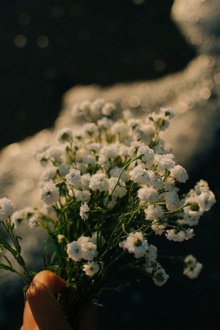 Danielle Brisebois - Everything My Heart Desires (가사해석/번역) : 네이버 블로그