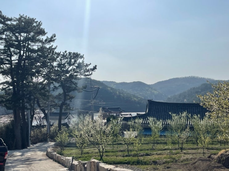 경주 보문단지 가족 펜션 추천 개별 바베큐장이 있는 아트힐펜션 네이버 블로그