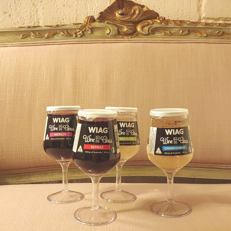 WIAG 와인인어글라스, 캠핑용 글라스와인 휴대용잔와인 와인한잔 캠핑와인(feat.만원대집들이선물) : 네이버 블로그