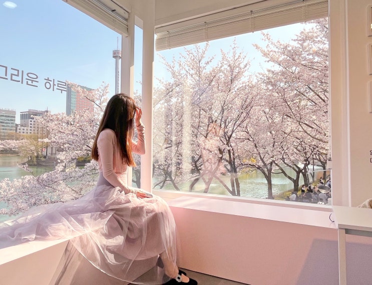 석촌호수 벚꽃축제 석촌호수 벚꽃 사진 스팟 모음 직접 제작한 벚꽃 필터 나눔🌸 벚꽃 보정법 네이버 블로그